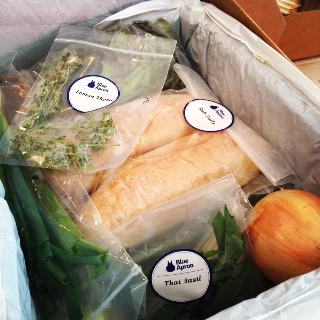 Blue Apron – My Experience - Food & Wine Chickie Insider