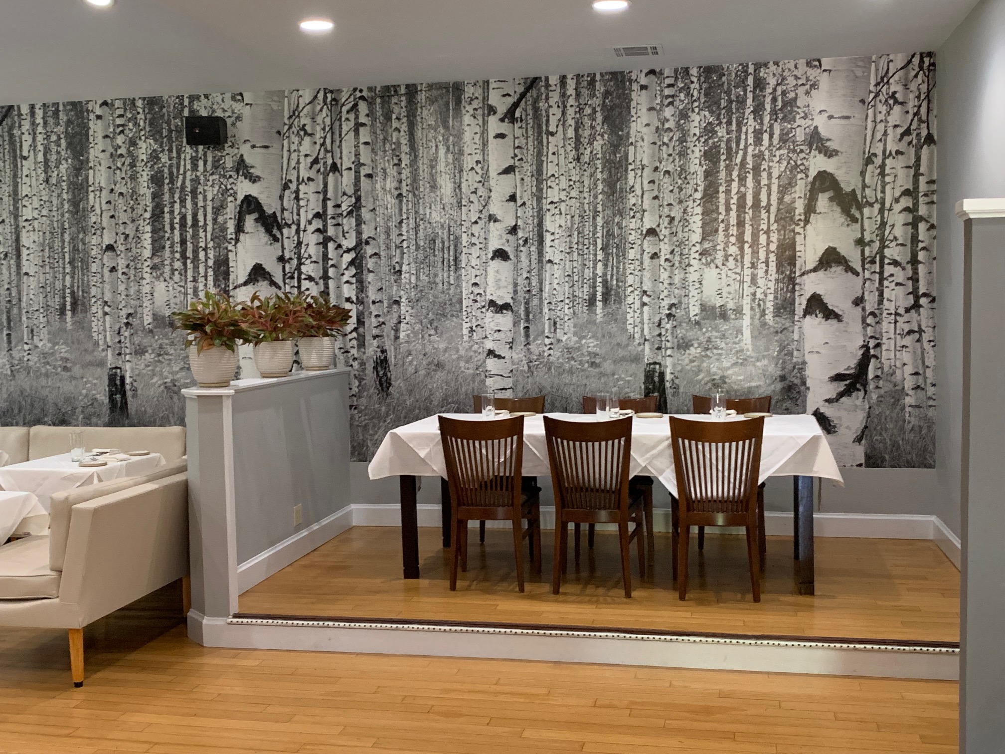 Fantastic Dining at White Birch Restaurant - Food & Wine Chickie Insider